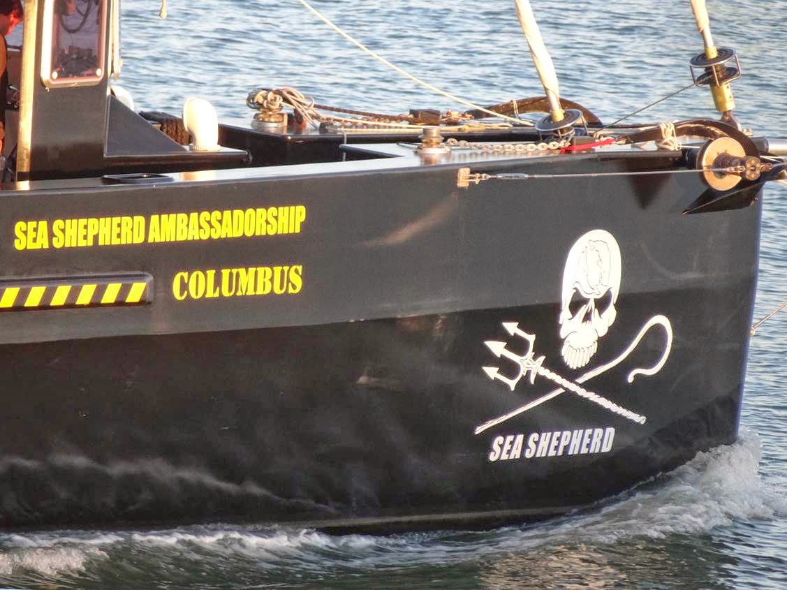 Ships Photo Gallery: SEA SHEPHERD